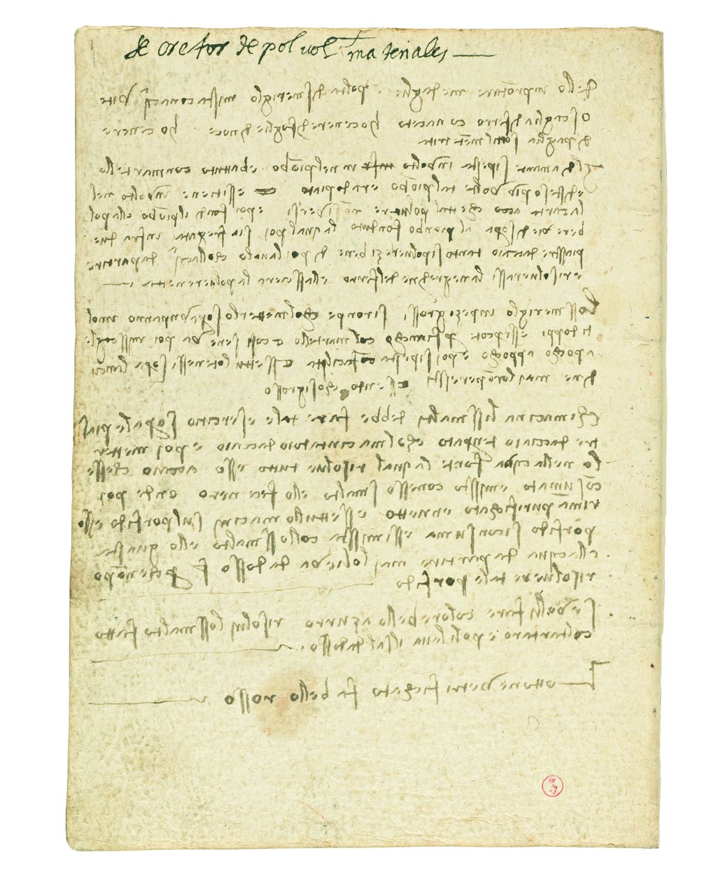 Codex on the Flight of Birds, Endpaper II