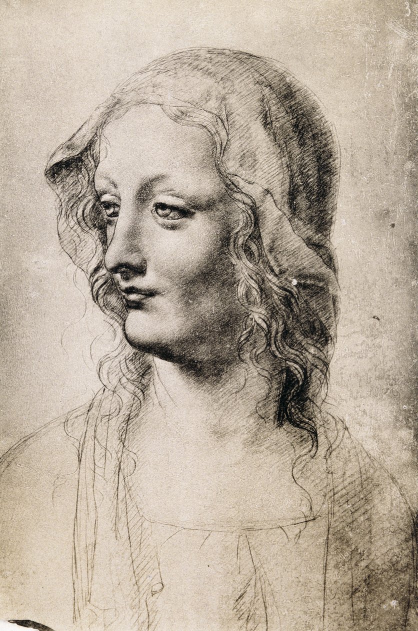 Head of a Young Woman by Leonardo da Vinci: Fine art print