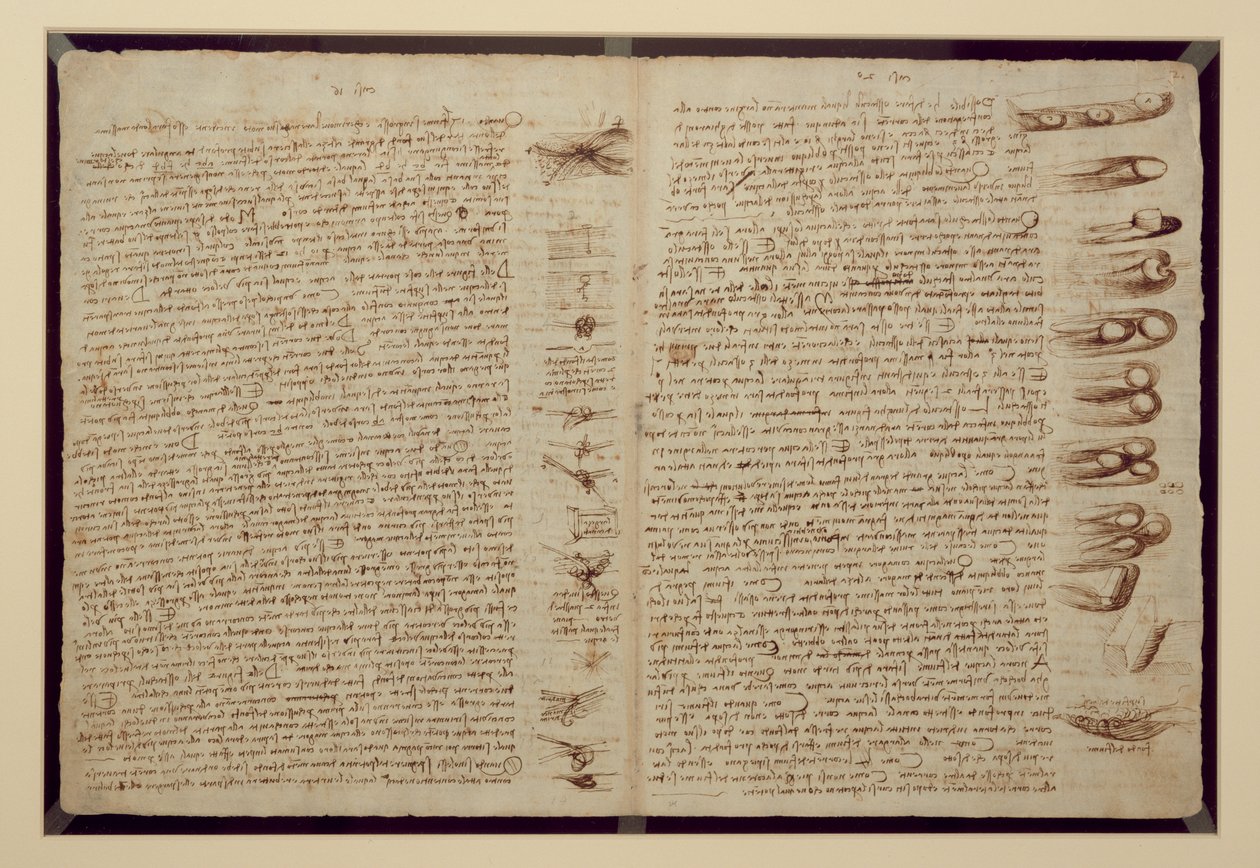 A Page from the Codex Leicester, 1508-12