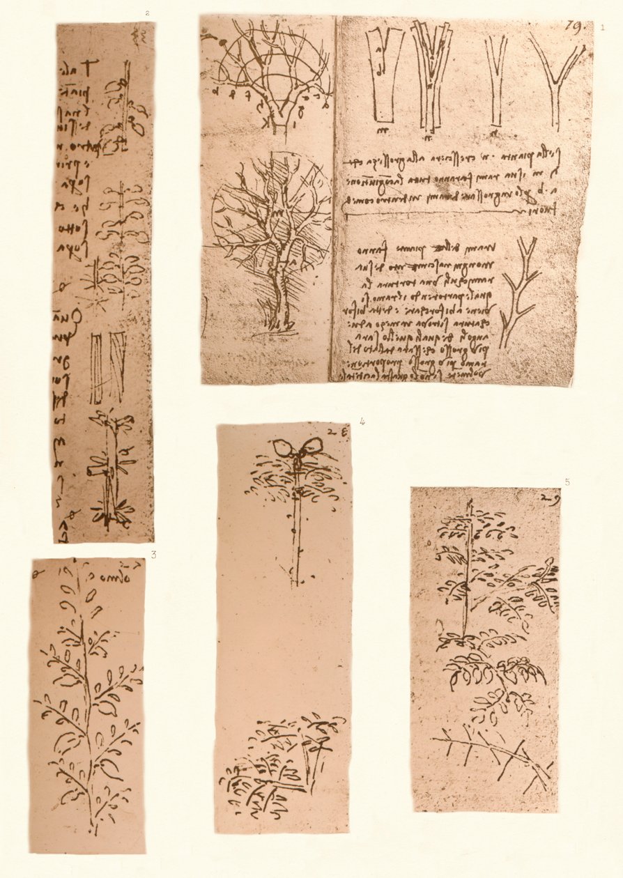 Five Drawings Illustrating the Elements of Landscape Painting, c. 1472 ...