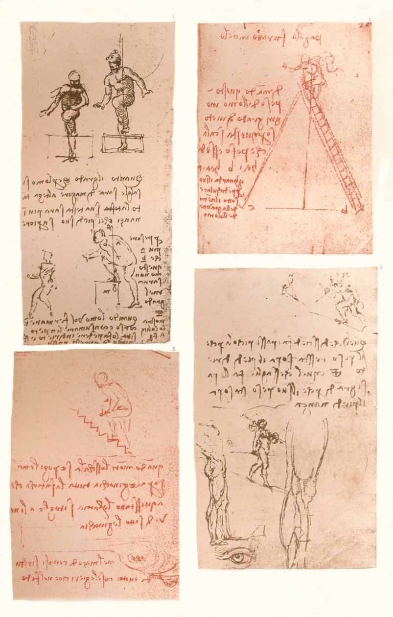 Four drawings illustrating the theory of the movements of the human ...