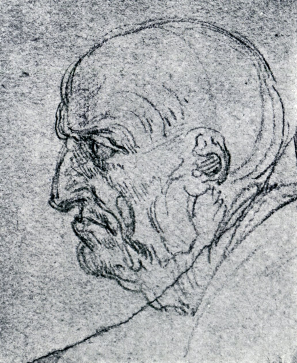 Head of an Old Man by Leonardo da Vinci: Fine art print
