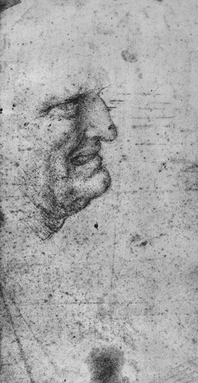 Profile of a Man with Clenched Teeth by Leonardo da Vinci