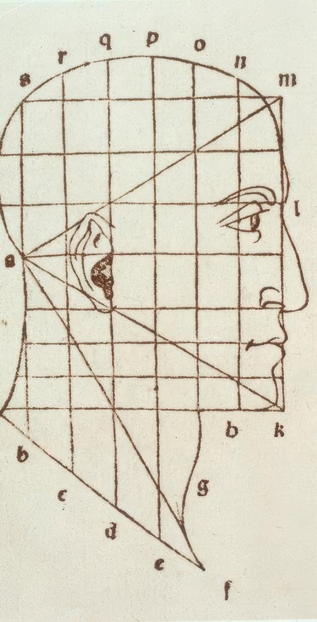 Proportion Study of the Human Head by Leonardo da Vinci