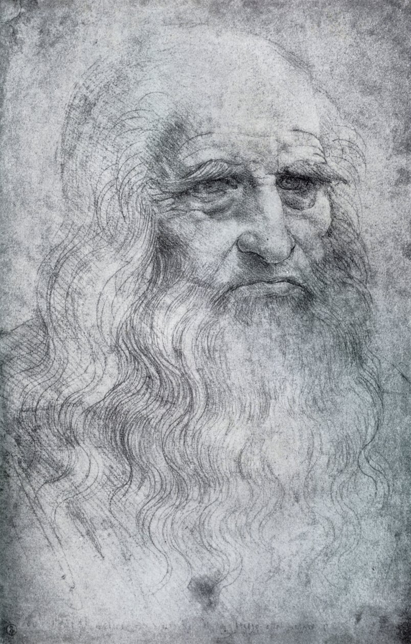 Self Portrait of Leonardo da Vinci by Leonardo da Vinci