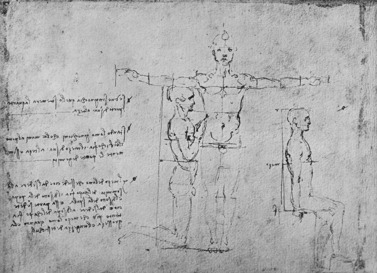Studies of the Proportions of Three Figures