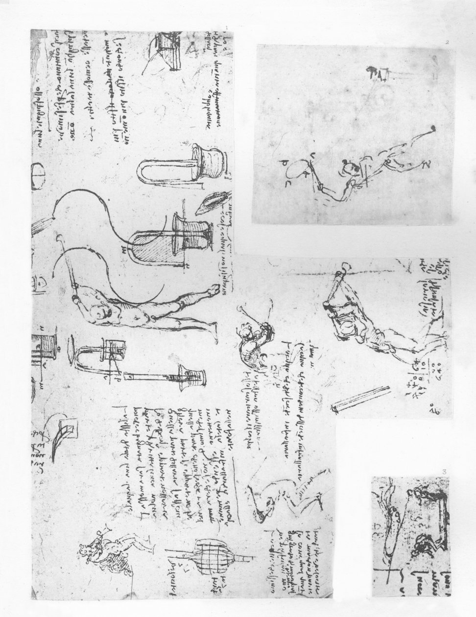 Three drawings illustrating the theory of the movements of the human ...