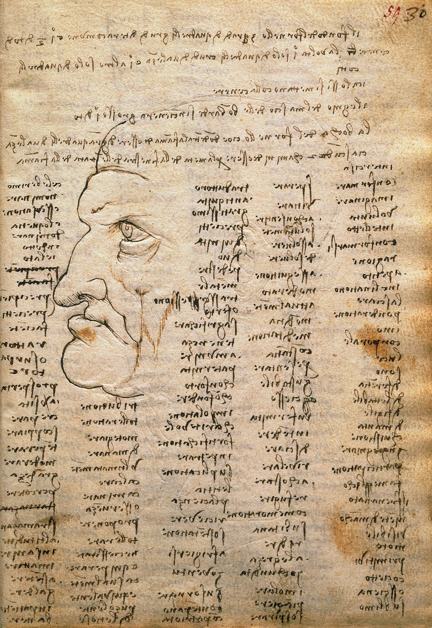 Word list and male profile, from Codex Trivulzianus
