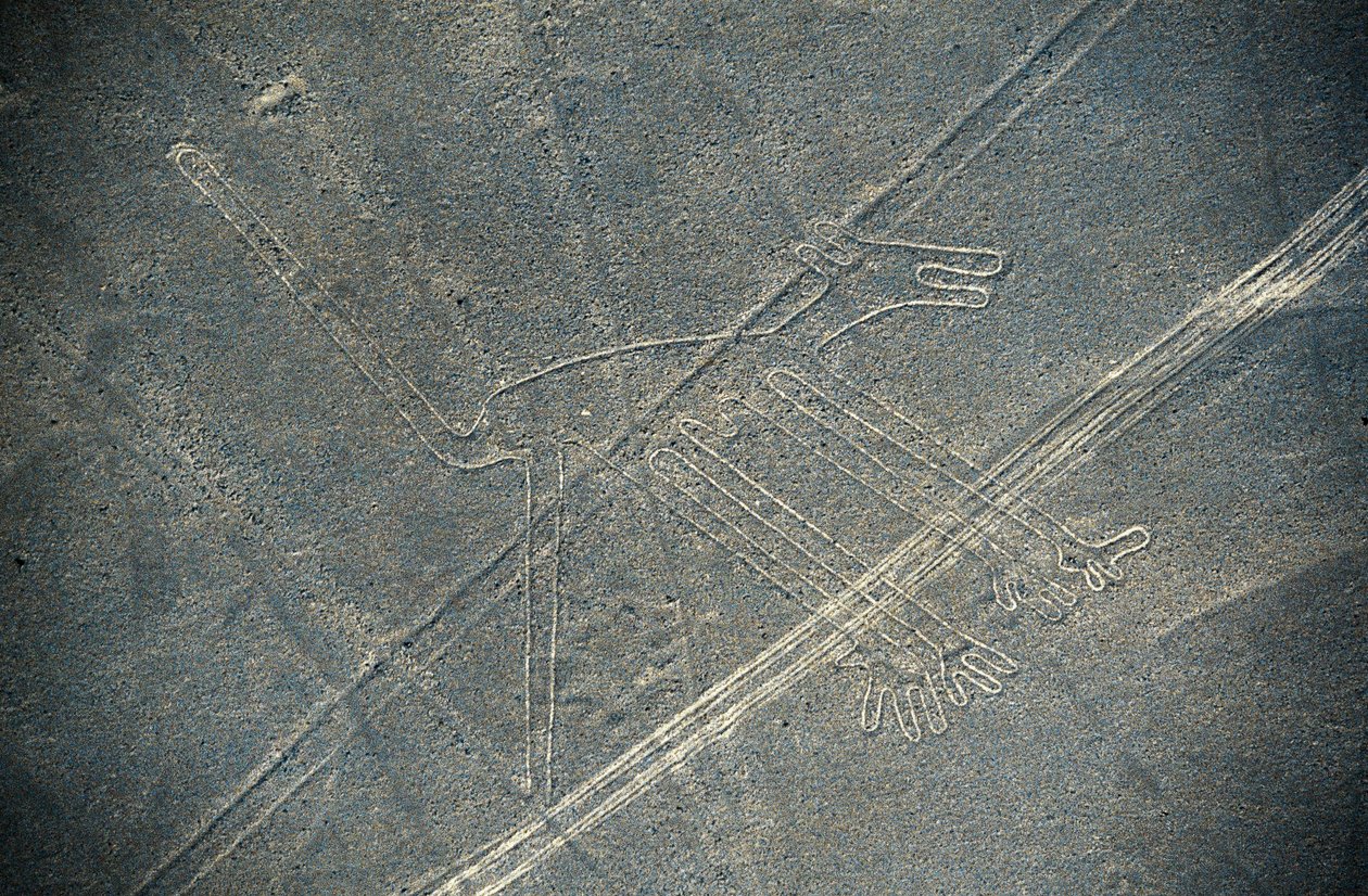 Dog, Nazca Lines, Nazca, Peru, Nazca Civilization