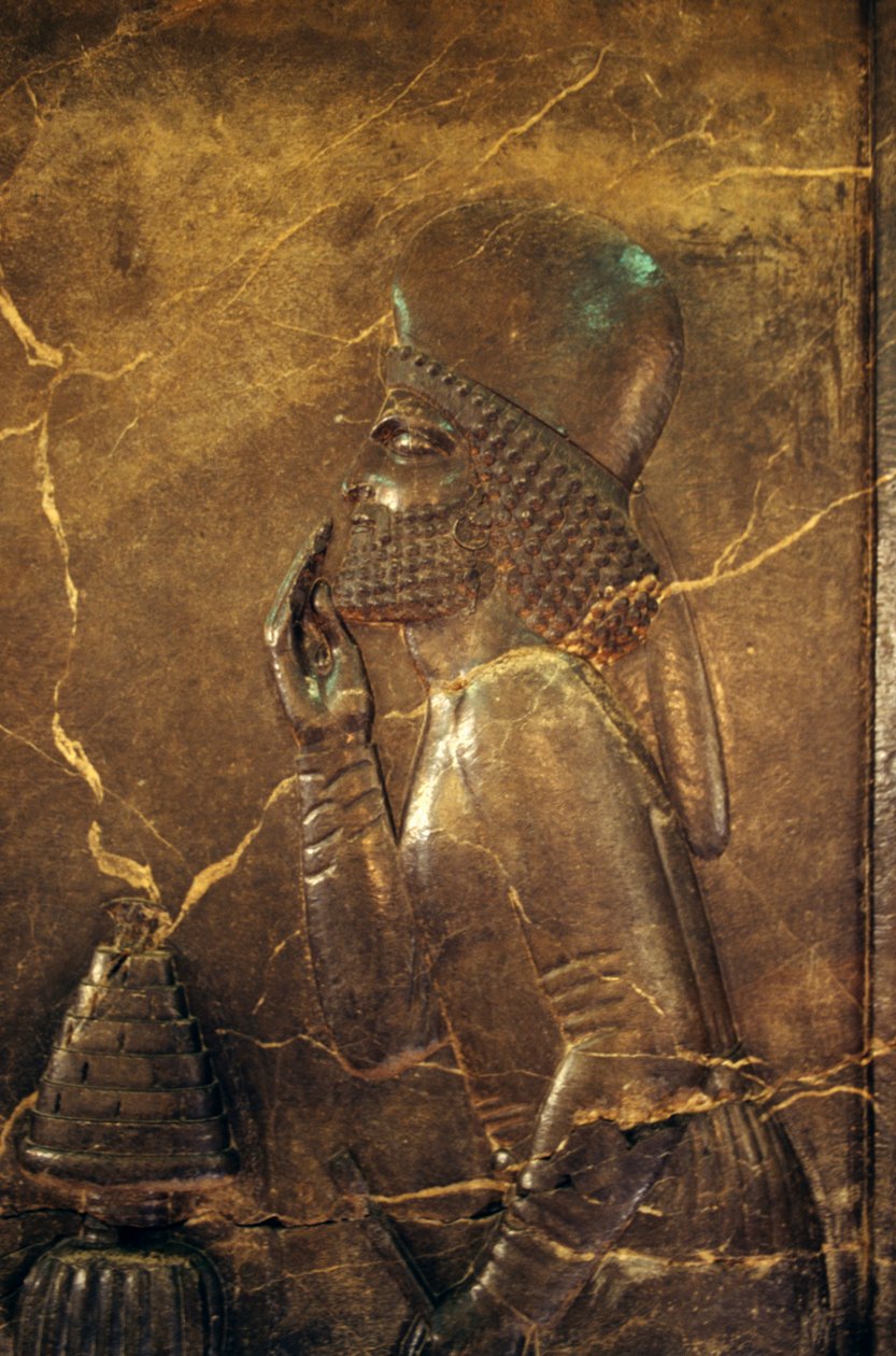 Medes Official Paying Tribute to King Darius I, Relief from Treasury of ...