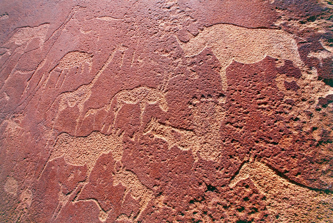 Stone Age Rock Engravings, Twyfelfontein, Brandberg Mountains ...