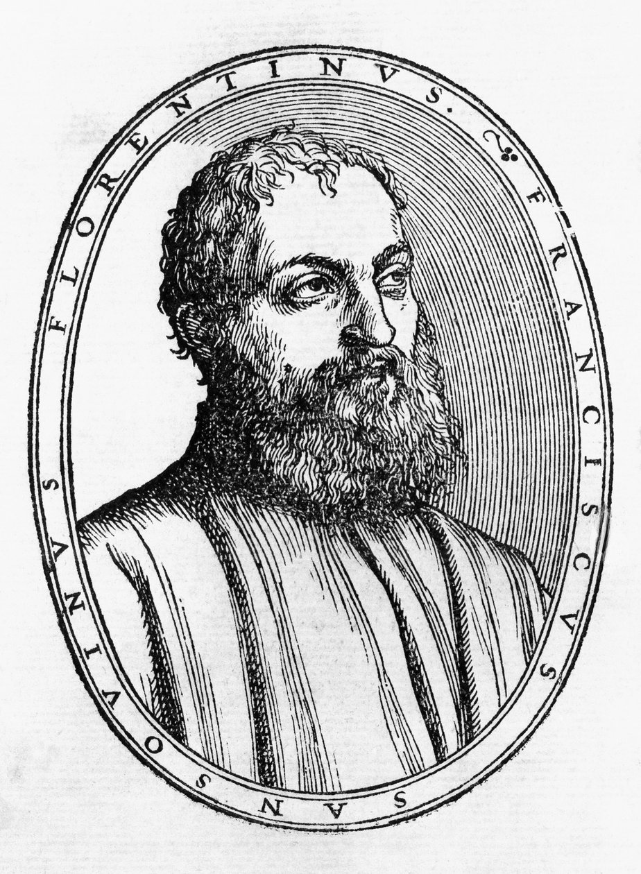 Portrait of Francesco Tatti da Sansovino, Italian man of letters ...