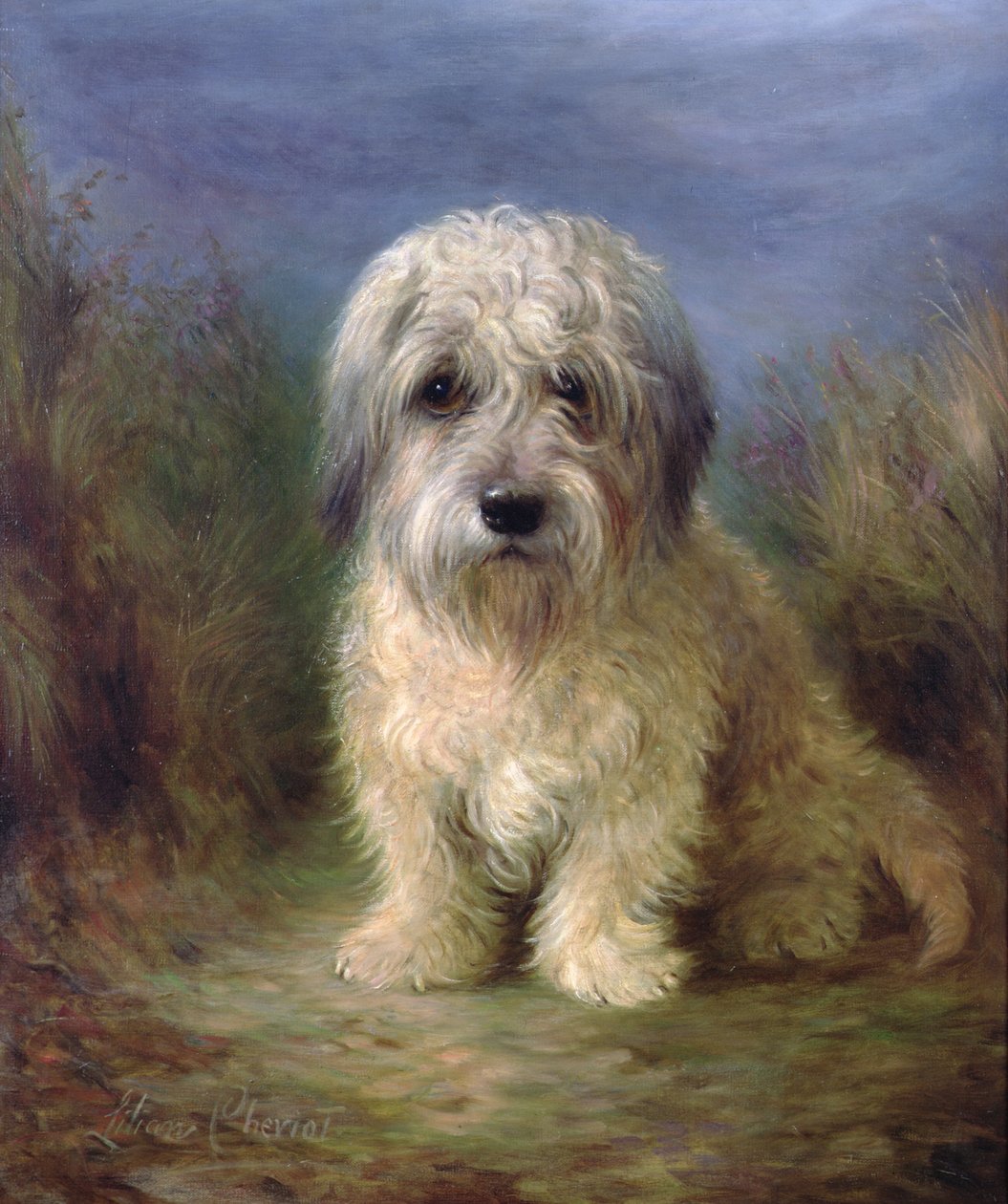 Dandie Dinmont Terrier by Lilian Cheviot: Fine art print