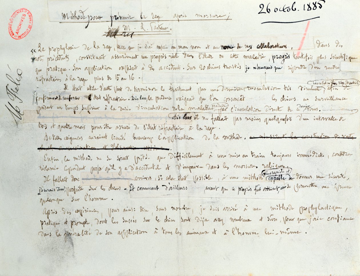 Pasteur's Method to Prevent the Spread of Rabies After Being Bitten ...