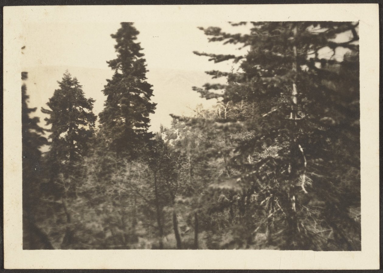 Landscape by Louis Fleckenstein: Buy fine art print