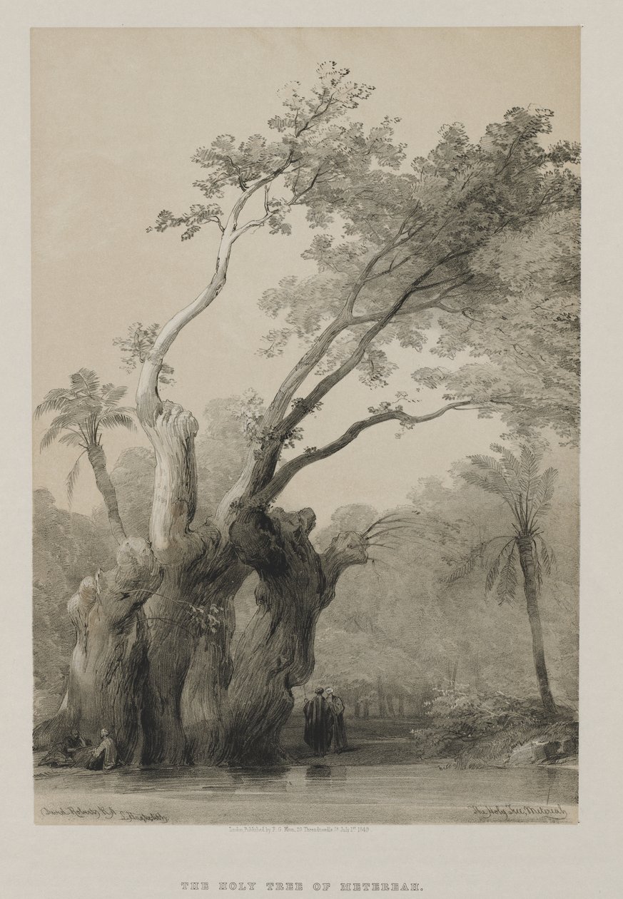 Egypt and Nubia, Volume III: The Holy Tree of Metereah