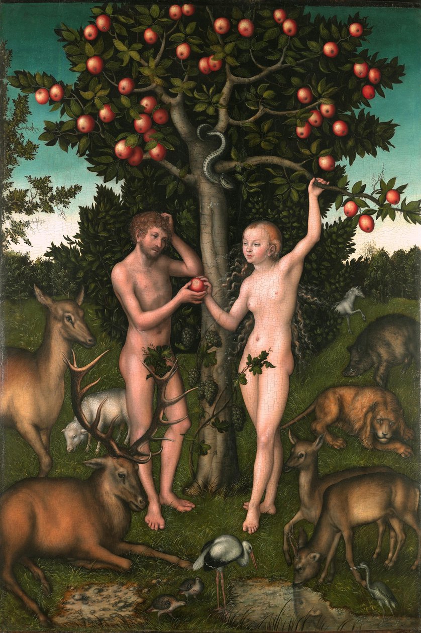 Adam and Eve by Lucas Cranach the Elder: Fine art print