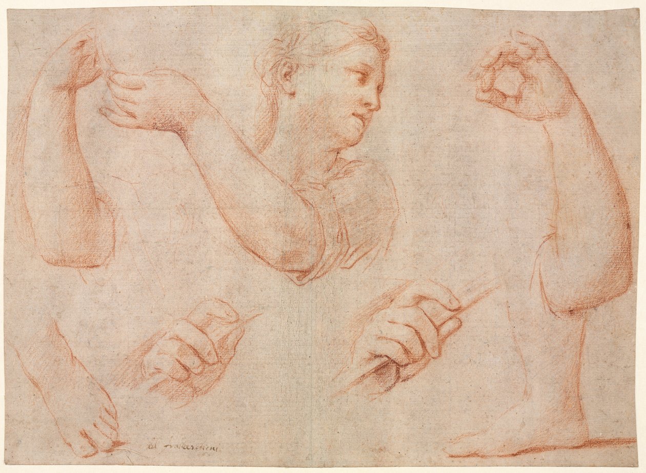 Study of a Young Woman Playing a Tambourine, and Studies of an Arm ...