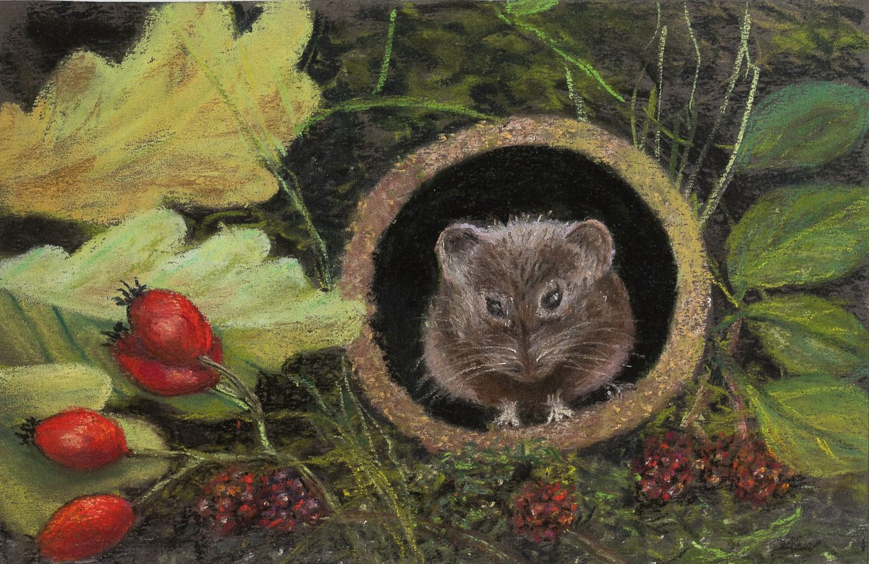 Field Mouse in Drain Pipe, 2020 by Margo Starkey