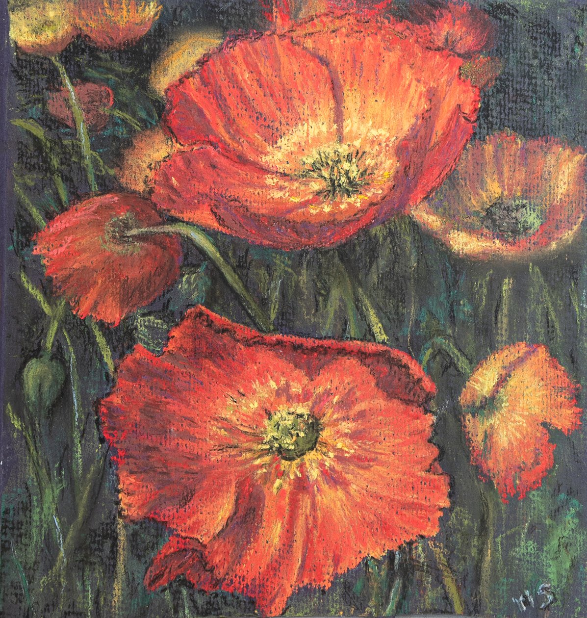 First poppies by Margo Starkey: Premium art reproduction