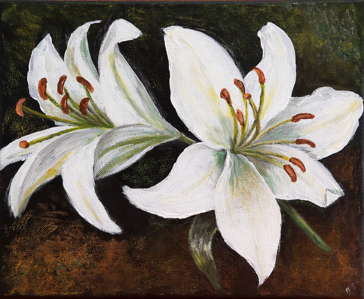 White Lily, 2022 by Margo Starkey: Buy fine art print