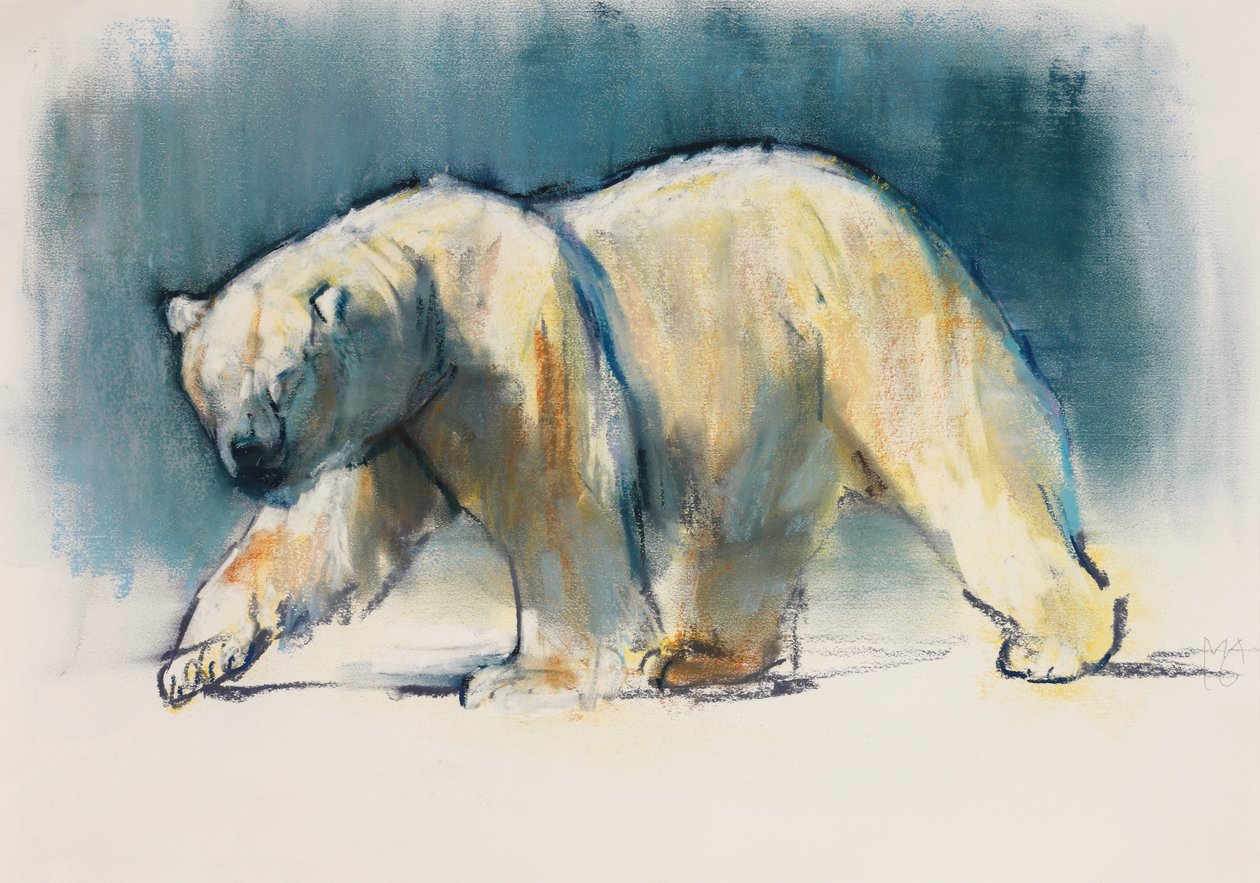 Arctic Light by Mark Adlington: Buy fine art print
