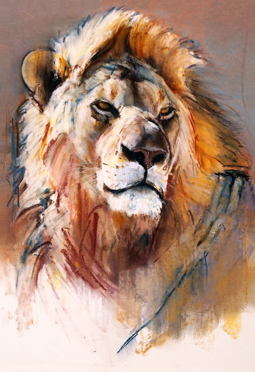 Gemsbok Lion by Mark Adlington: Buy fine art print