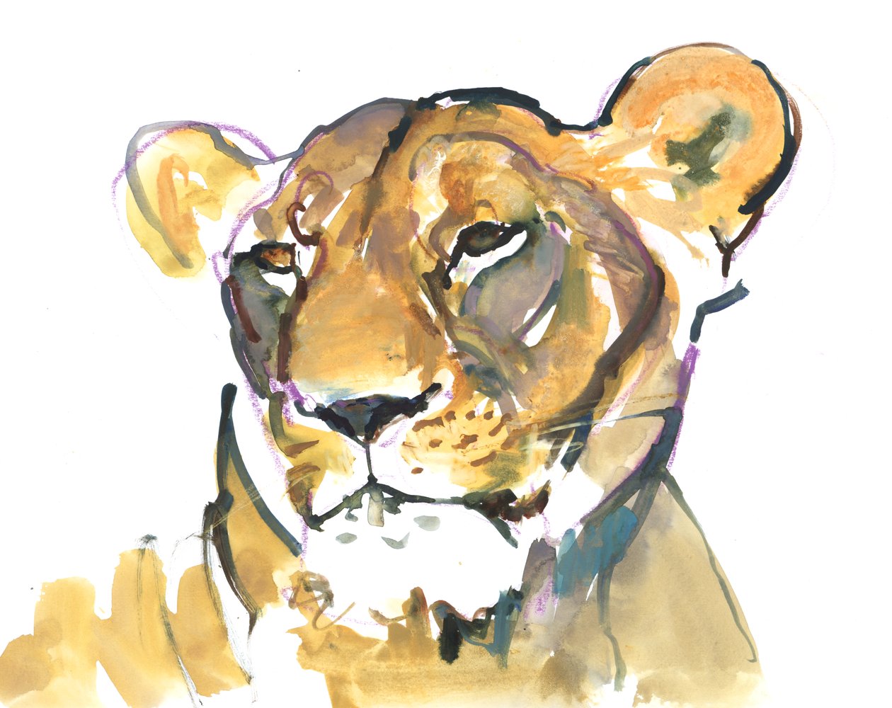 The Lioness by Mark Adlington: Buy fine art print