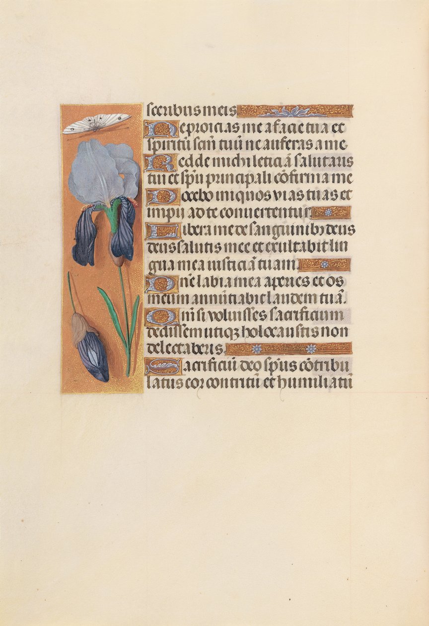 Hours of Queen Isabella the Catholic, Queen of Spain: Fol. 247v, c. 1500