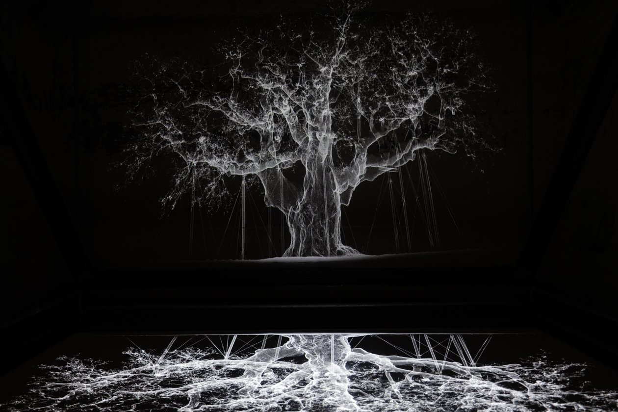 Albion by Mat Collishaw: Highest-quality art reproduction