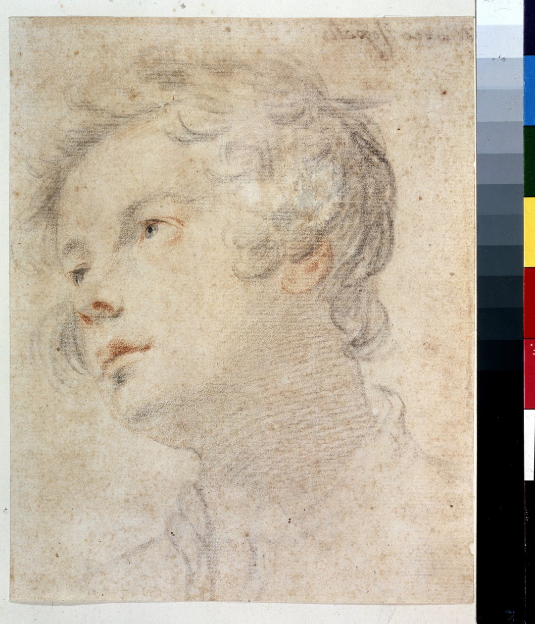 Head of a Boy by Matteo Rosselli: Buy fine art print