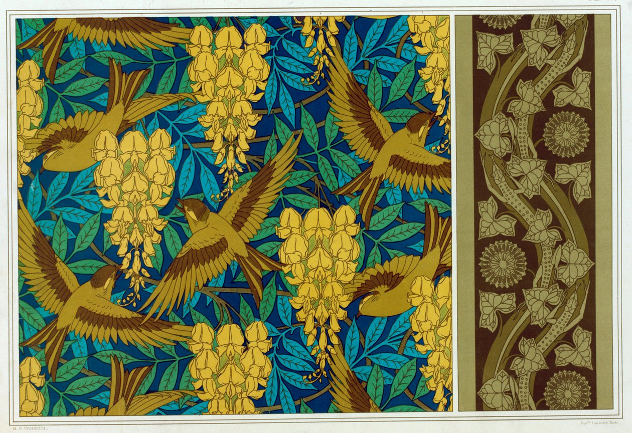 Parrot Wallpaper Borders Buy Wallpaper Border Birds Wallpaper Border