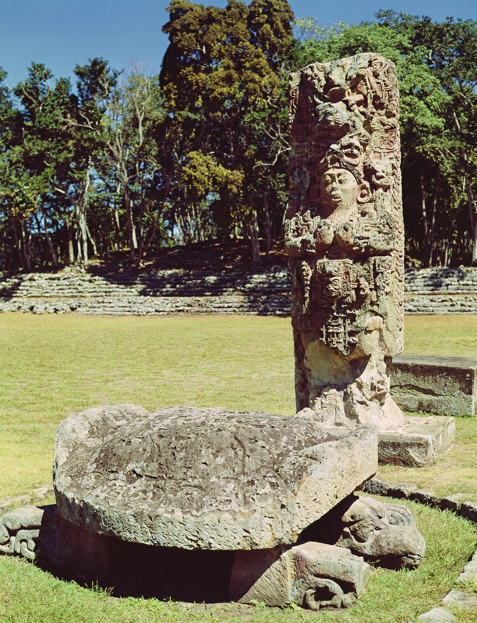 Stele C Depicting Eighteen Rabbit and a Statue of a Two-Headed Turtle ...