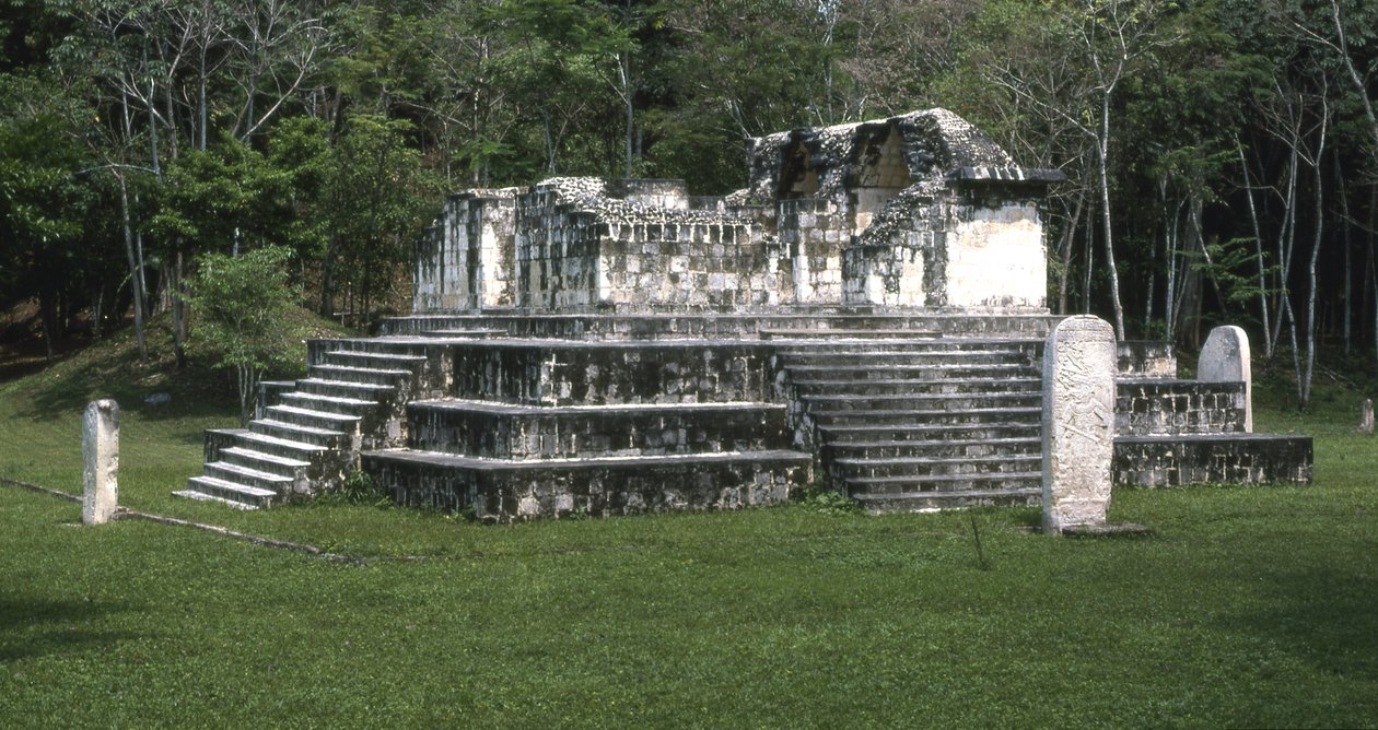 View of Seibal Temple A3, Ultimate Classic Period by Mayan