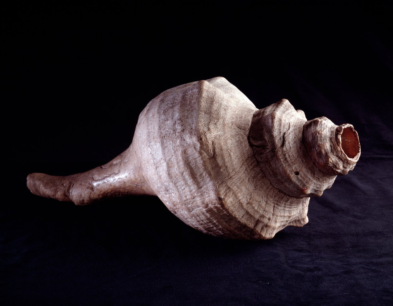 Pre-Columbian Art, Mayan Civilization, Classical Period: Sea Shell Used ...