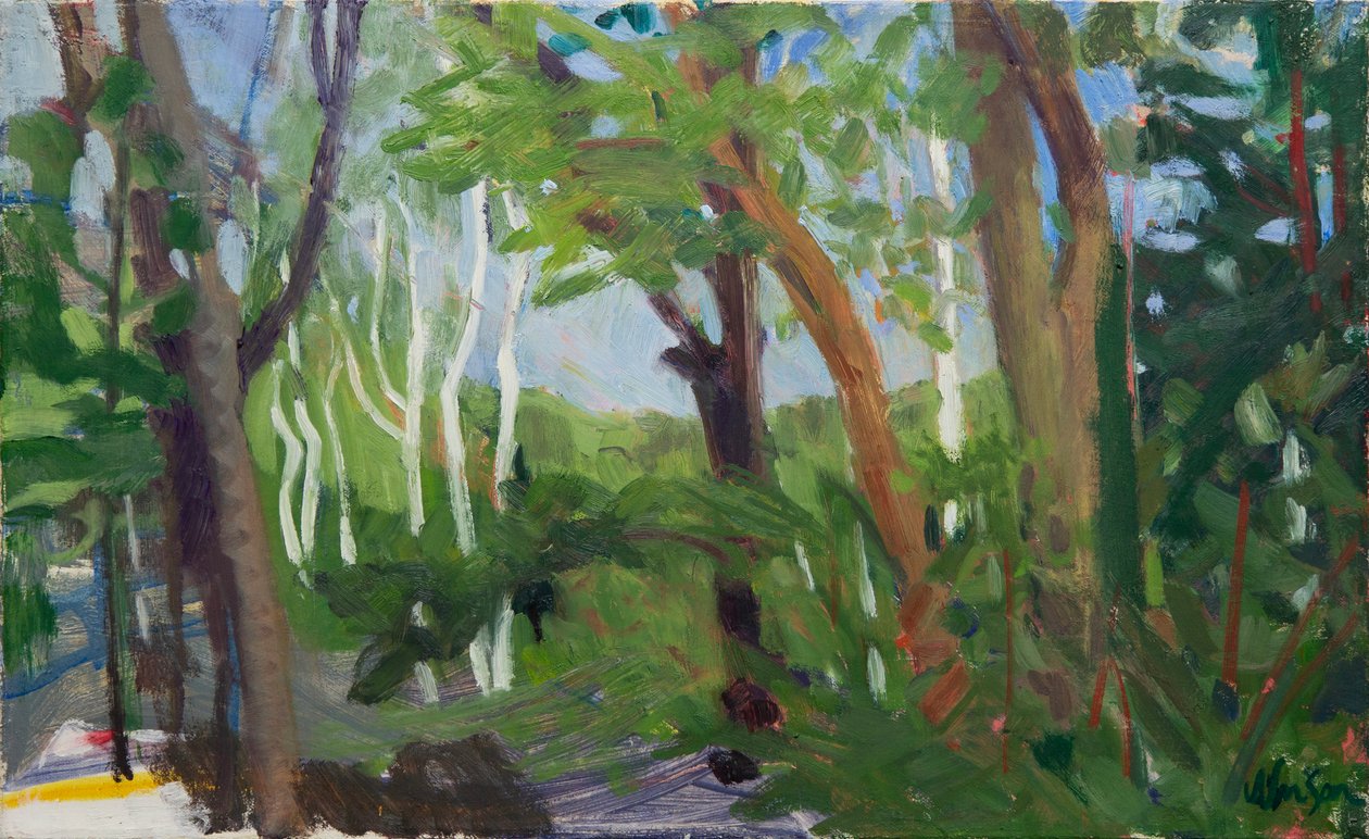 A Stand of Birch by Megan Williamson: Buy fine art print