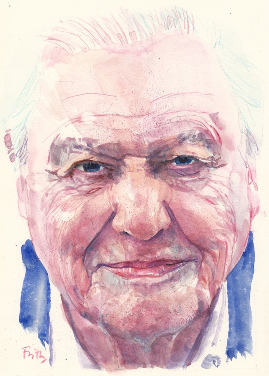 Sir David Attenborough by Michael Frith: Fine art print