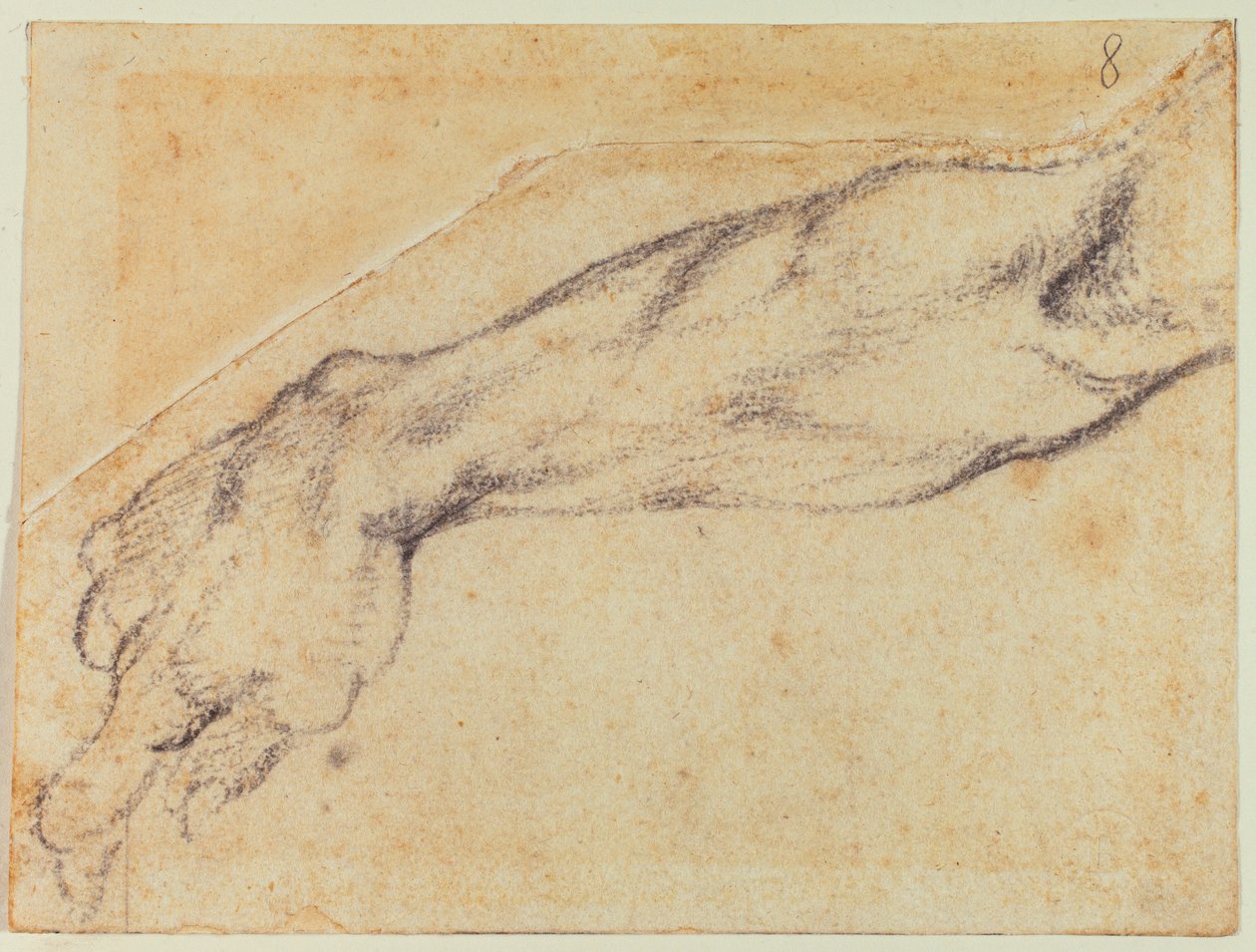 Arm study for a Sistine figure by Michelangelo Buonarroti