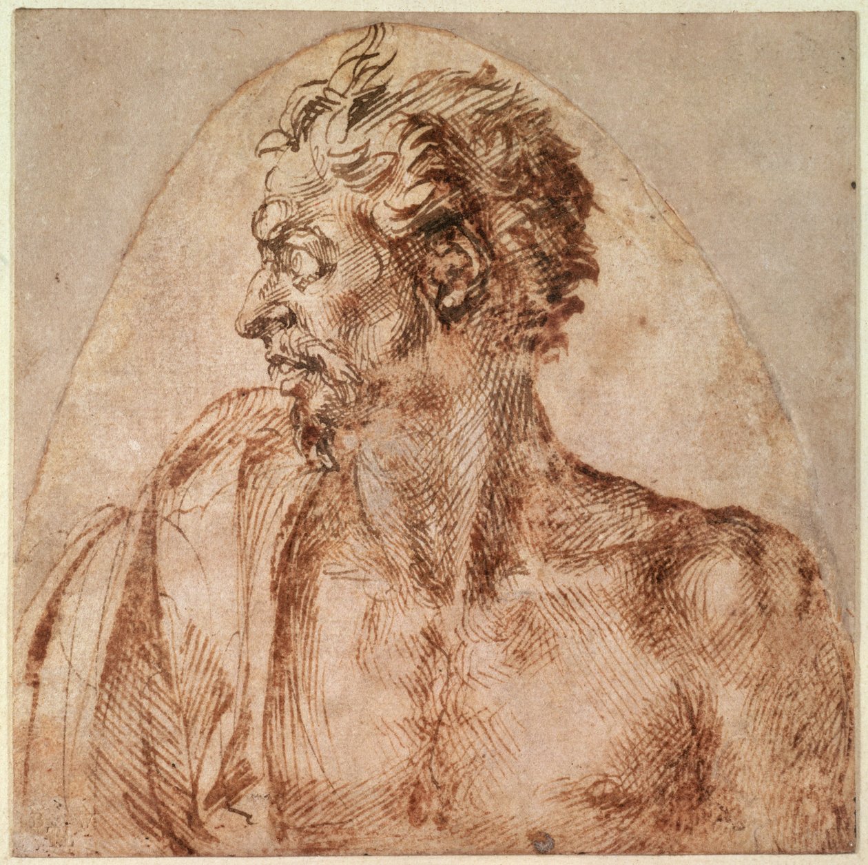 Study of Head and Shoulders by Michelangelo Buonarroti