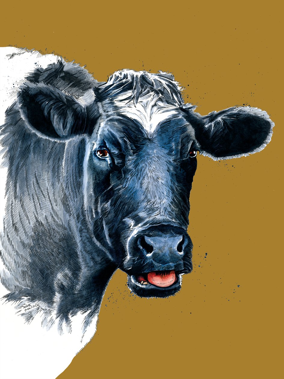 The Cow on Golden Yellow by Mike Davis: Buy fine art print