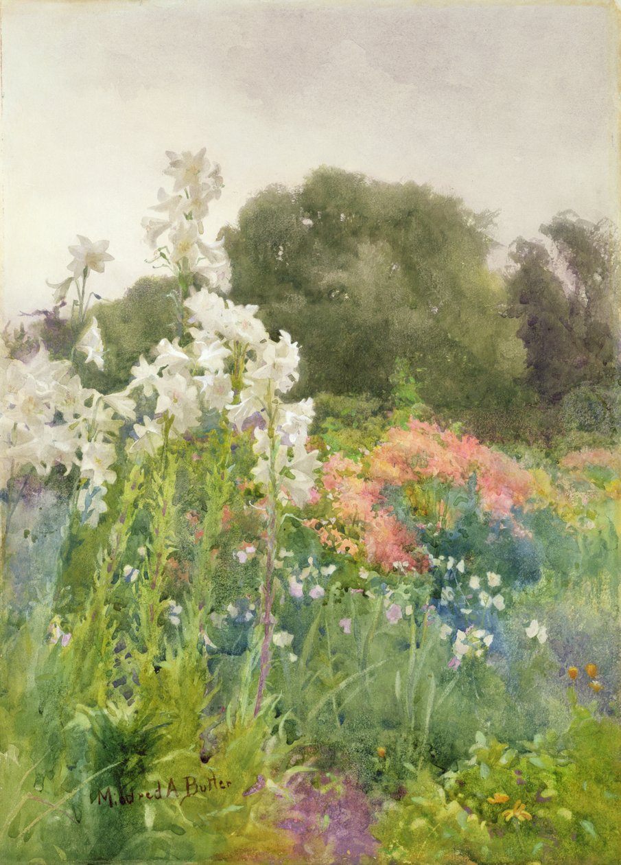 Madonna Lilies by Mildred Anne Butler: Buy fine art print