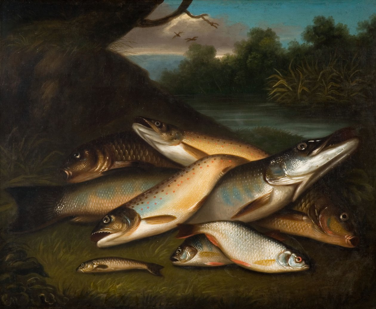 Fish, 1790 by Moses Haughton: Premium art reproduction