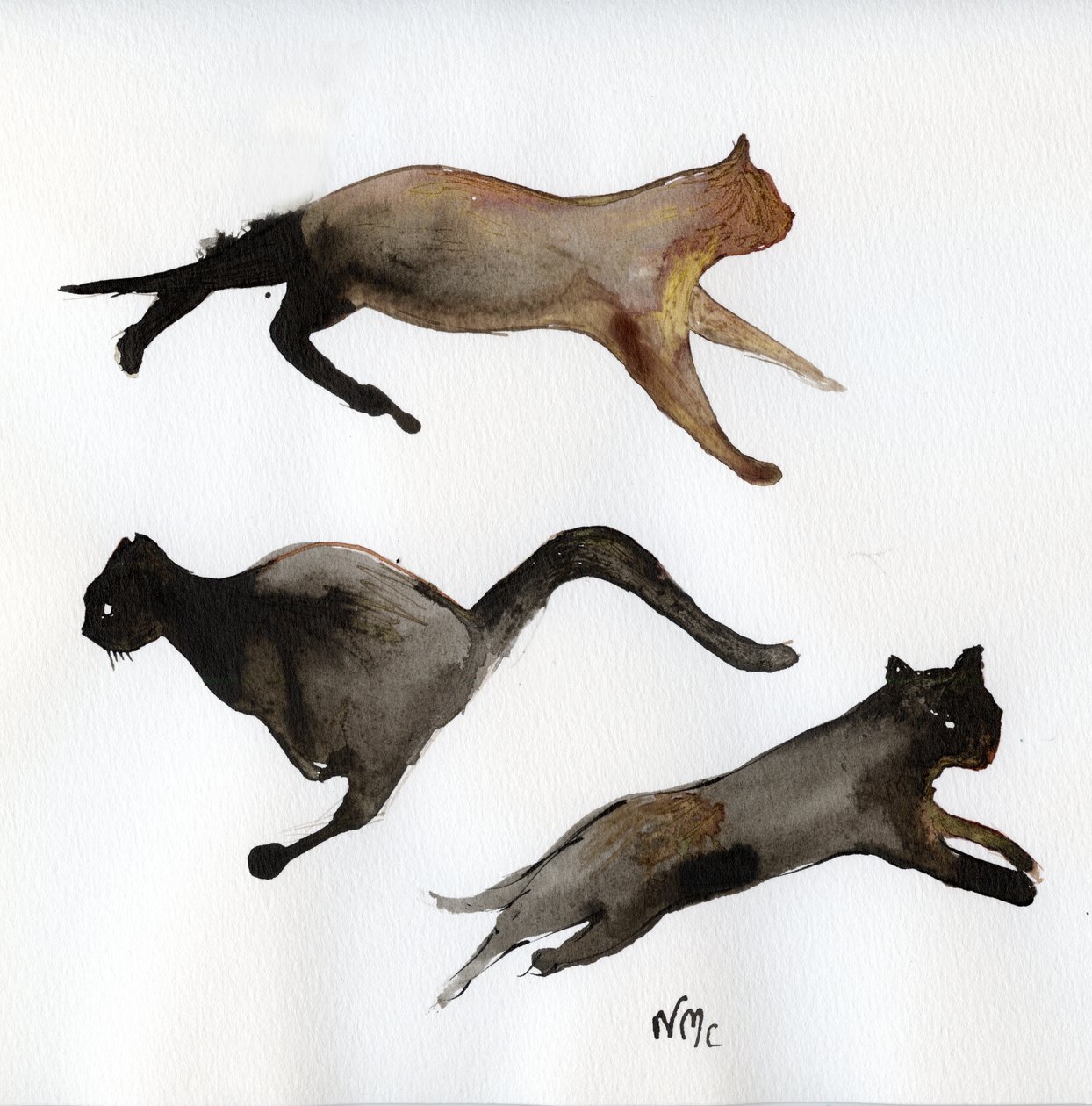 Run Cat Run by Nancy Moniz Charalambous: Fine art print
