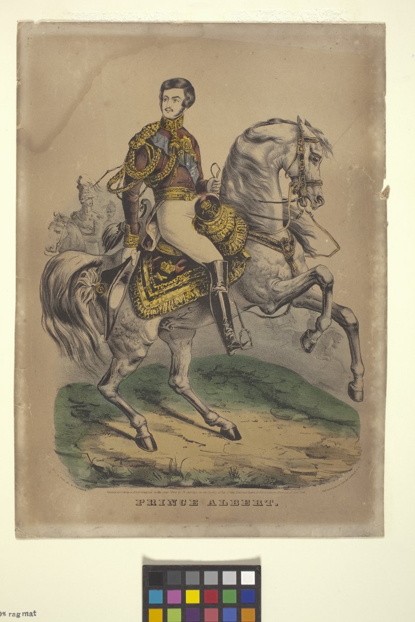 Prince Albert by Nathaniel Currier: Buy fine art print