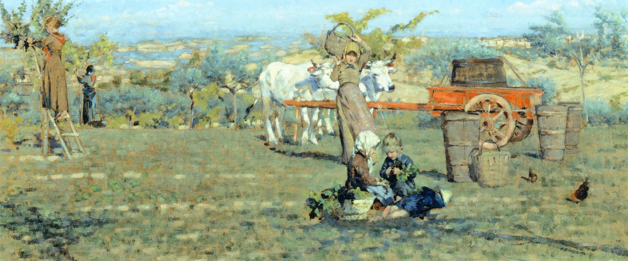 In the fields by Niccolo Cannicci: Buy fine art print