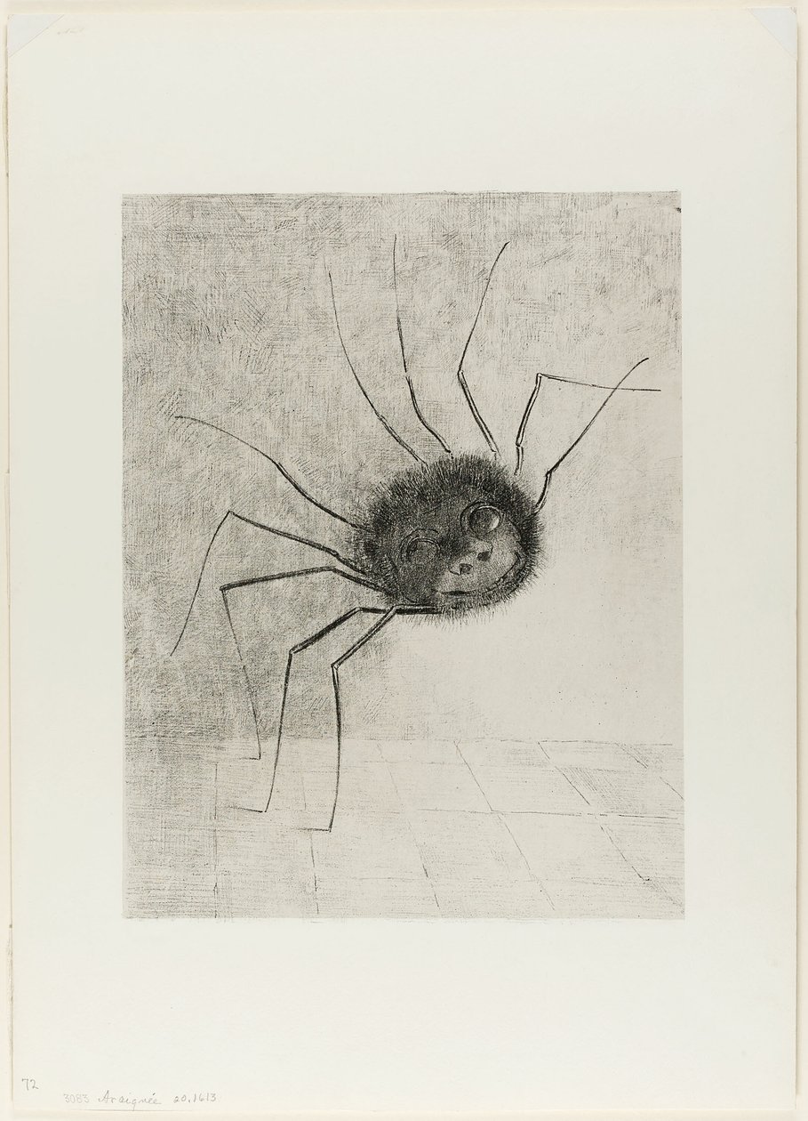 Spider by Odilon Redon: Highest-quality art reproduction
