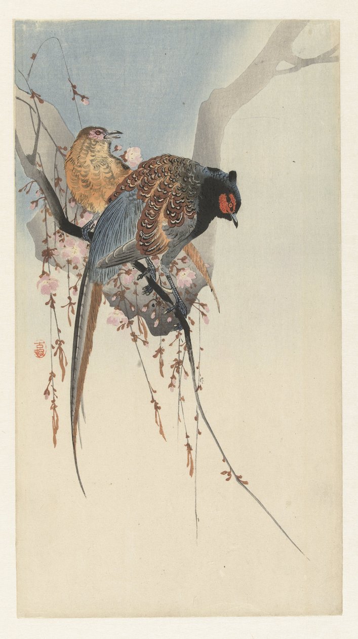 Pair of Pheasants and Plum Blossom by Ohara Koson