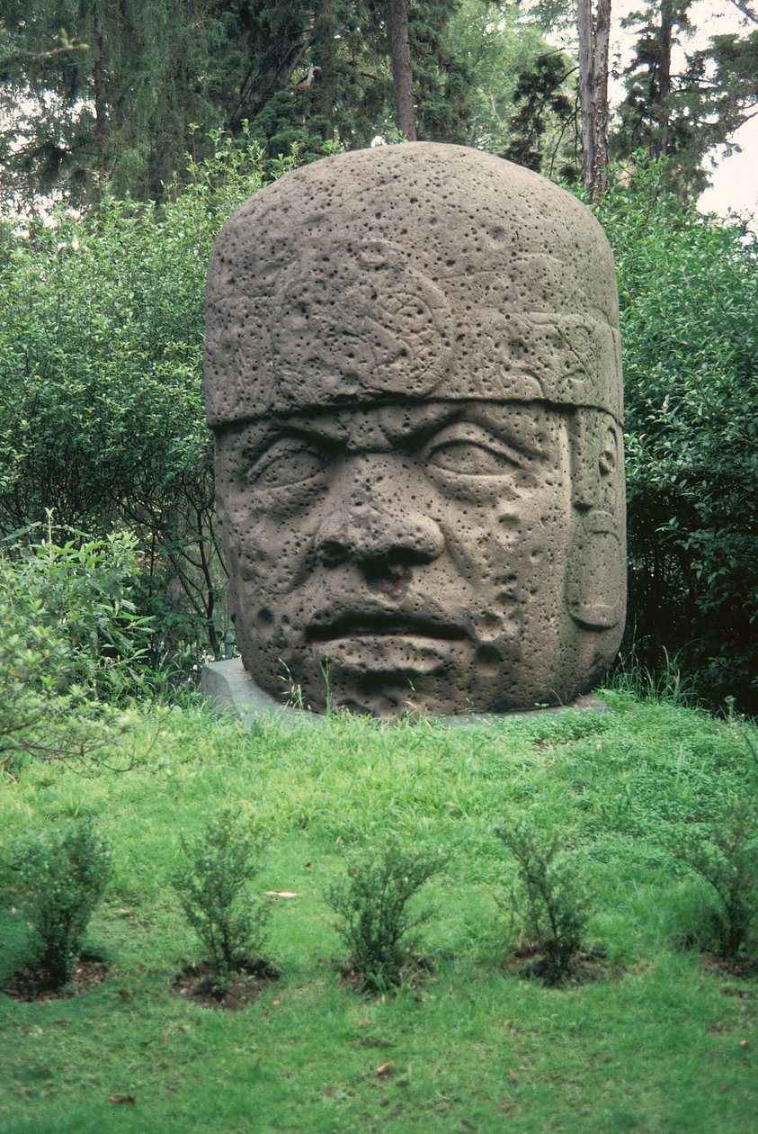 Colossal Head by Olmec: Highest-quality art reproduction
