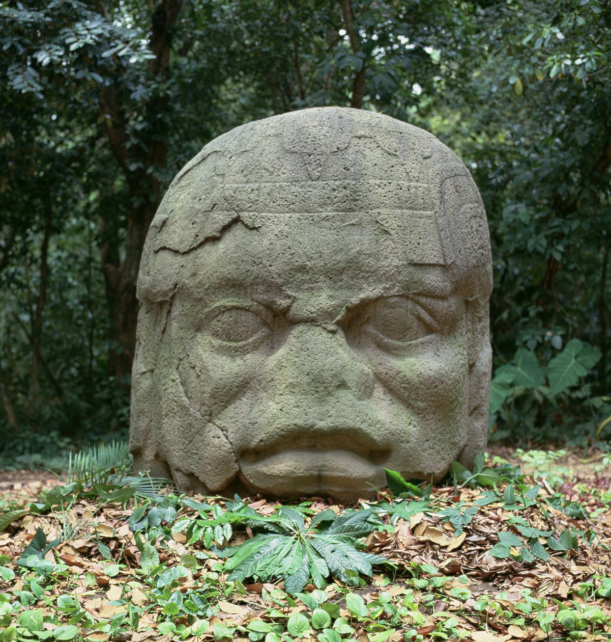 Colossal Head 4, Pre-Classic Period by Olmec