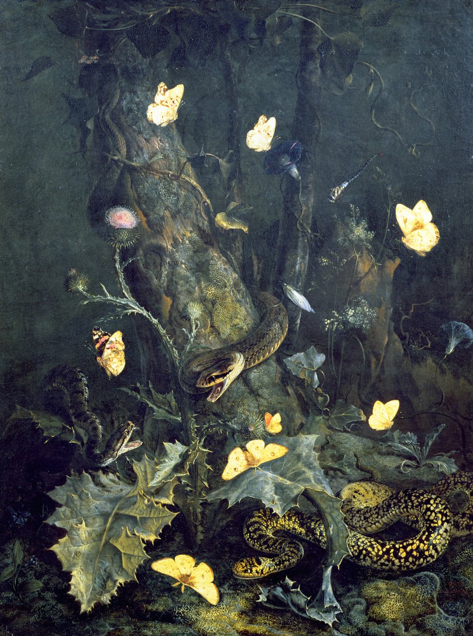 Snakes and Butterflies, 1670 by Otto Marseus van Schrieck